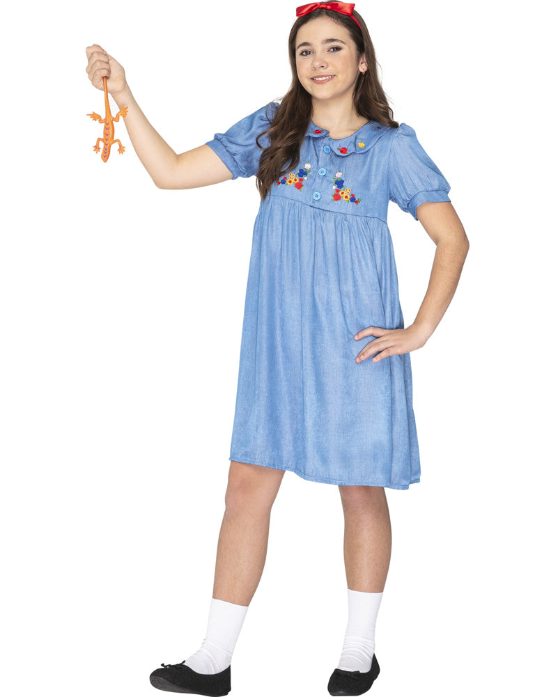 Little Miss Bookworm Deluxe Girls Costume